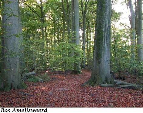 WWAWWW: 12 september Amelisweerd / Rhijnauwen, 7 km