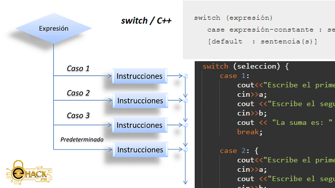 Partes de la estructura "Switch"