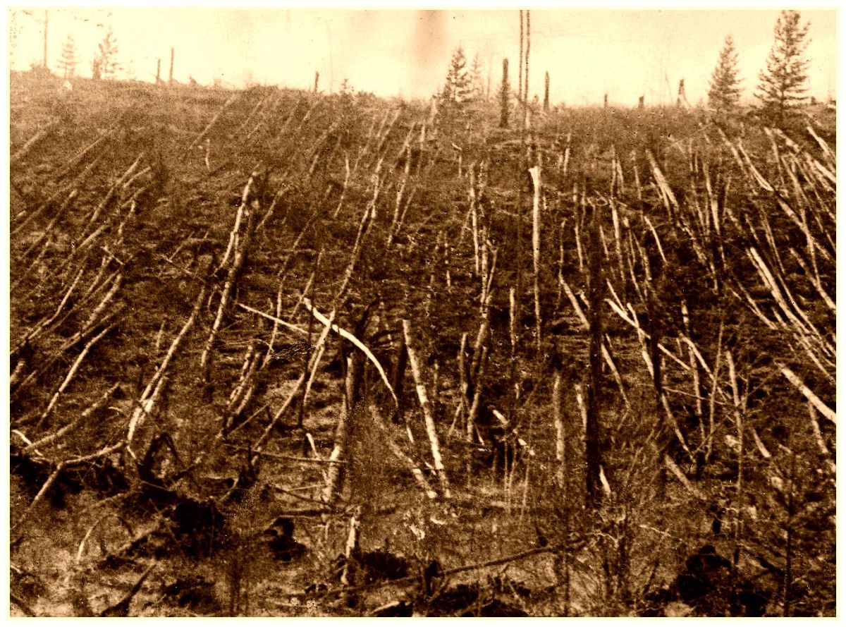 Y UNA TIZA AL CIELO: Tunguska