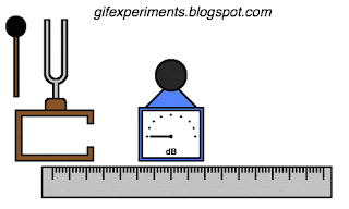 GIF Experiments (GIXP)