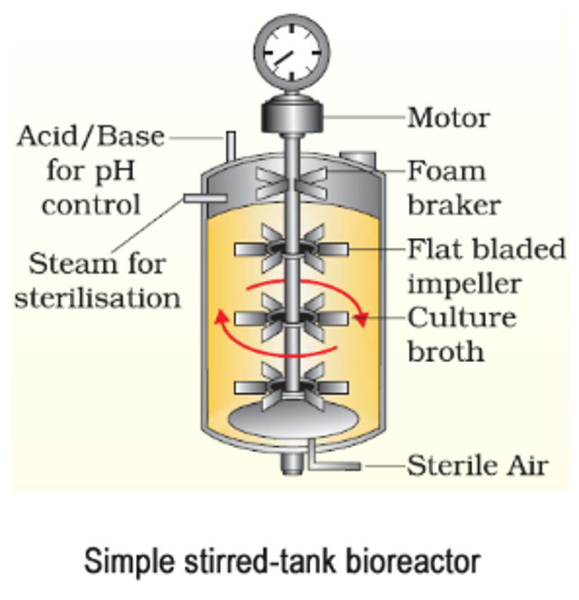 Biotechnology: Principles and Processes | Plus 2 Botany | Exam Capsule ...