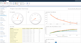 Microsoft Project Server / Online Implementer: Part 2: Visualization of ...