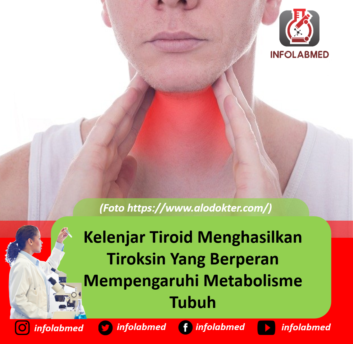 Kelenjar Tiroid Menghasilkan Tiroksin Yang Berperan Mempengaruhi ...
