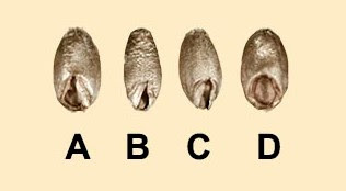 Help, My Numbers are Falling