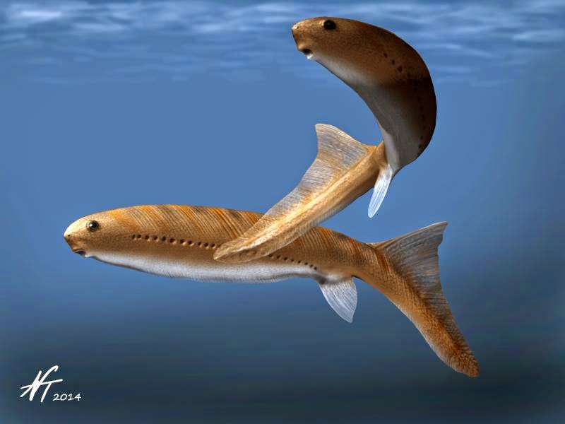 Paleoexhibit: The Canadian cousins of Jamoytius