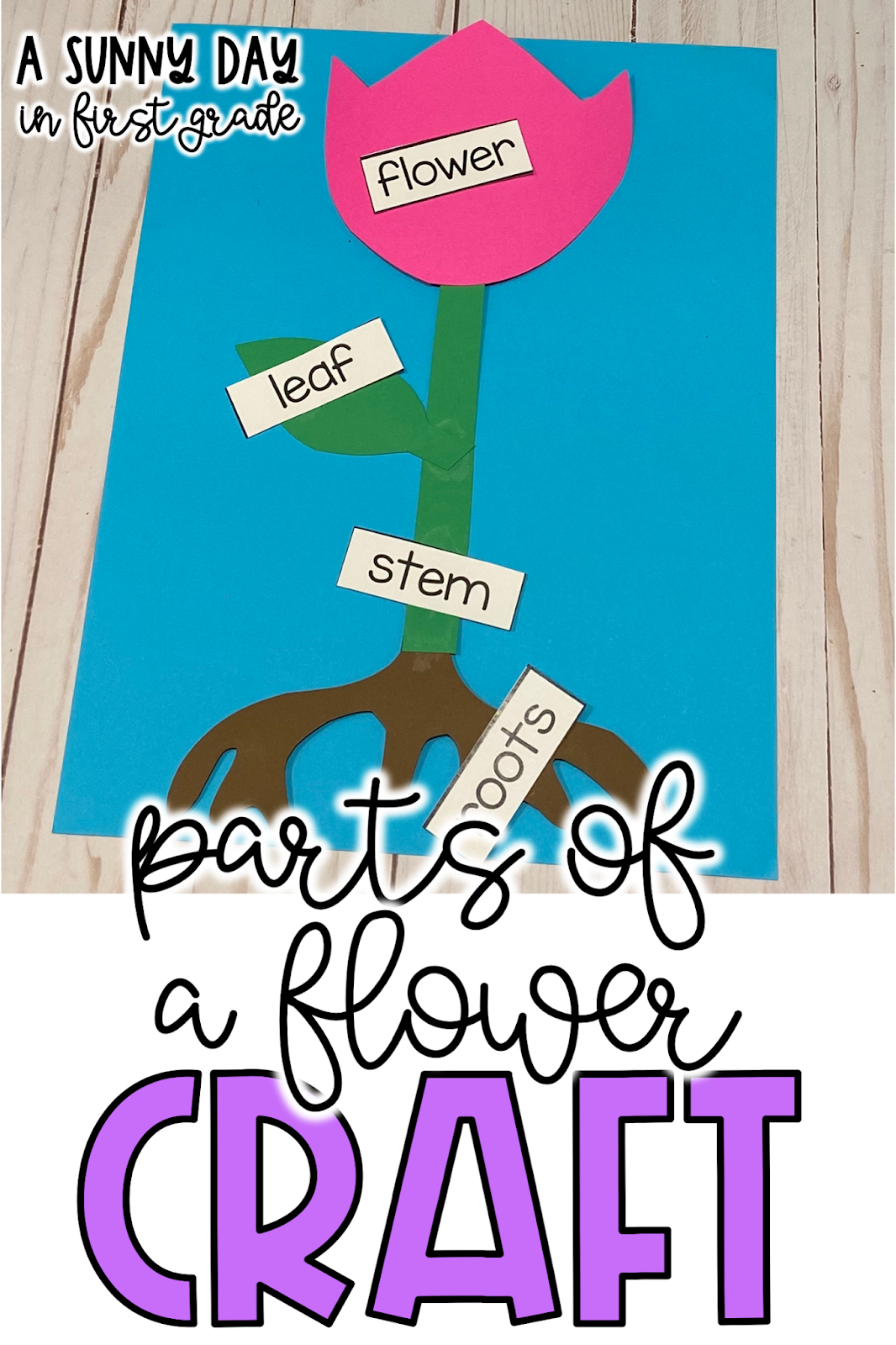Parts of a Flower Craft | A Sunny Day in First Grade