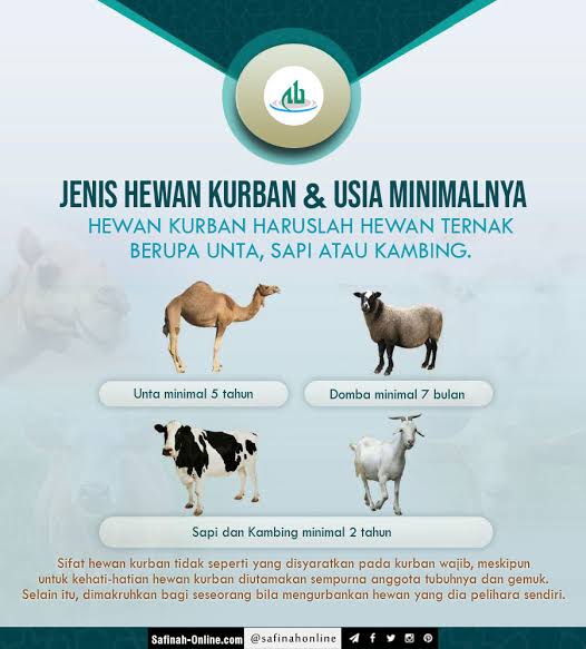 SEPUTAR QURBAN (5) JENIS HEWAN QURBAN -1