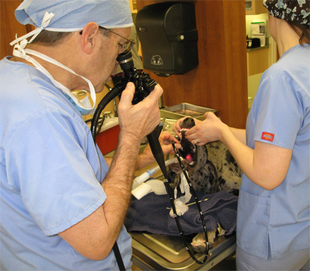 Cervical Cancer: Cystoscopy