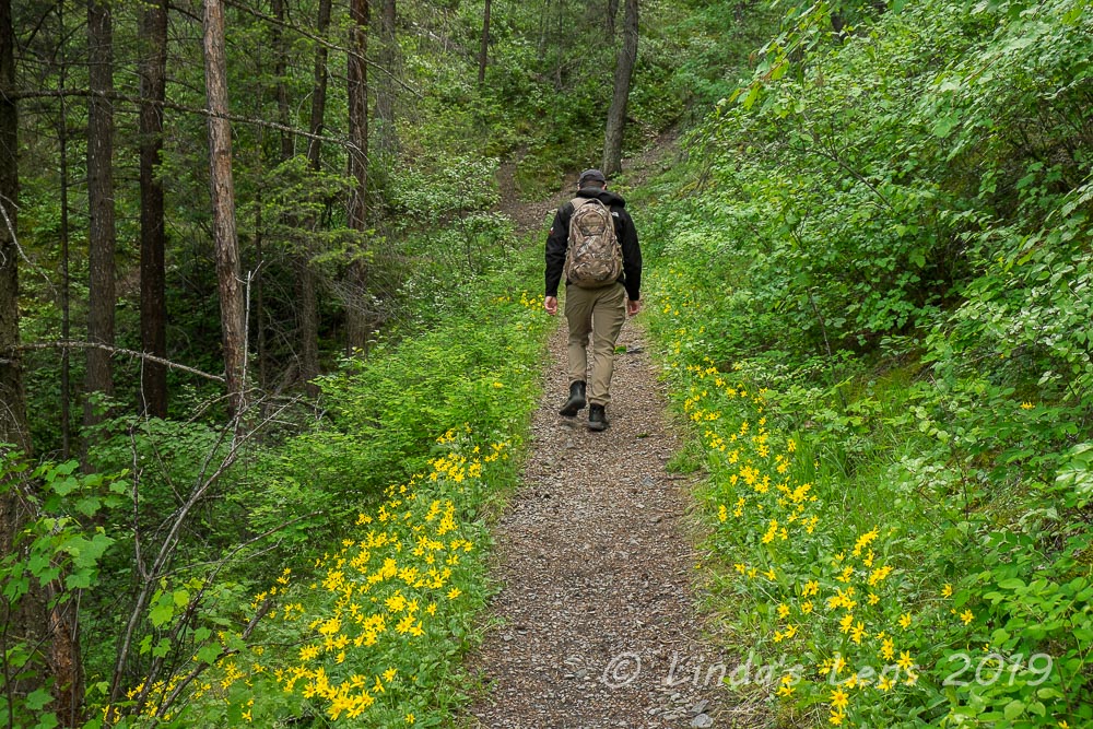 Linda's Lens: Hiking Montana's Mt. Sentinel