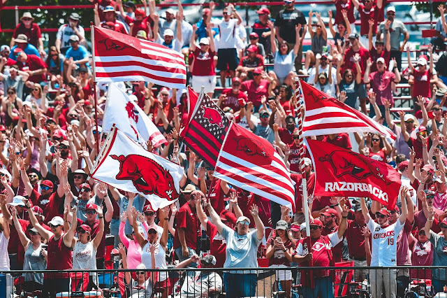 Arkansas in Top 25 finish of Director's Cup for great year of sports ...