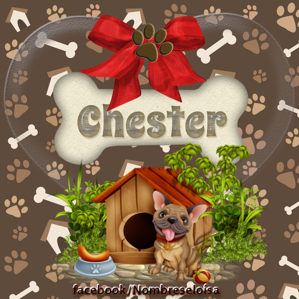 Amo a mi Perro Nombres