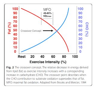 Muscle Oxygen Training: FatMaxxer - a new app for real time DFA a1
