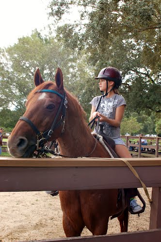 Exciting Disney World Activities Outside of the Theme Parks