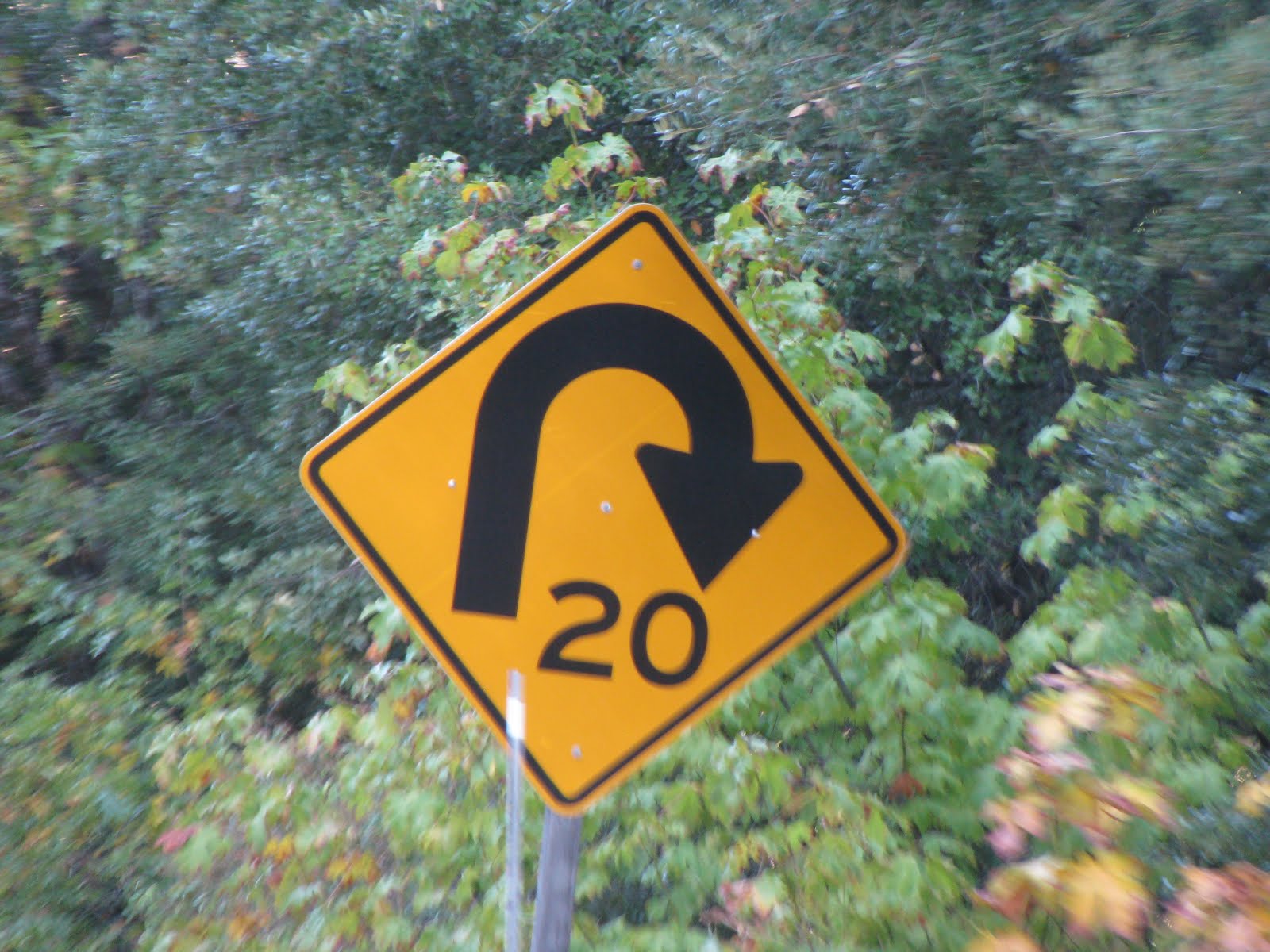 Thayer Update: CA Highway 299