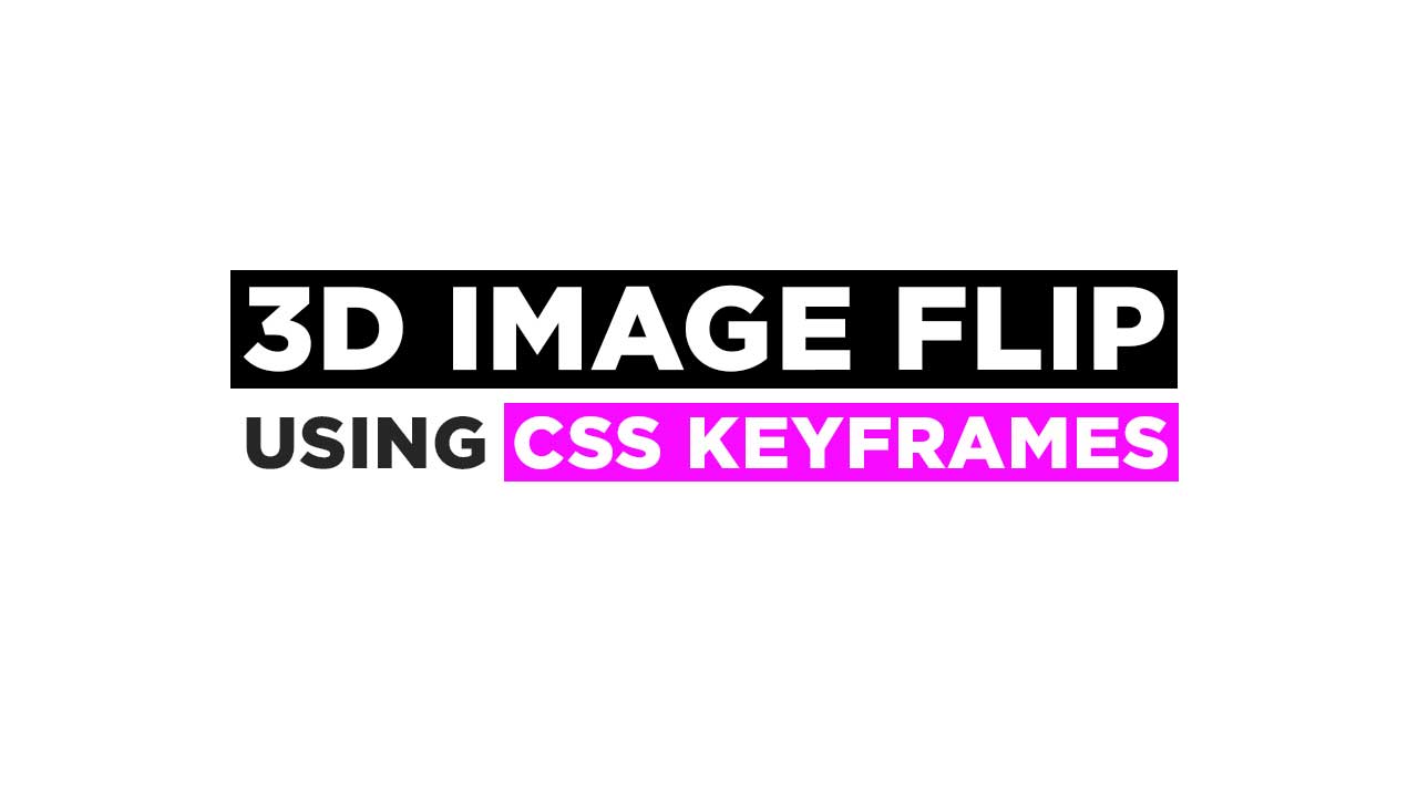 Css3 3d Flipping Animation On Hover Css Animation Effects