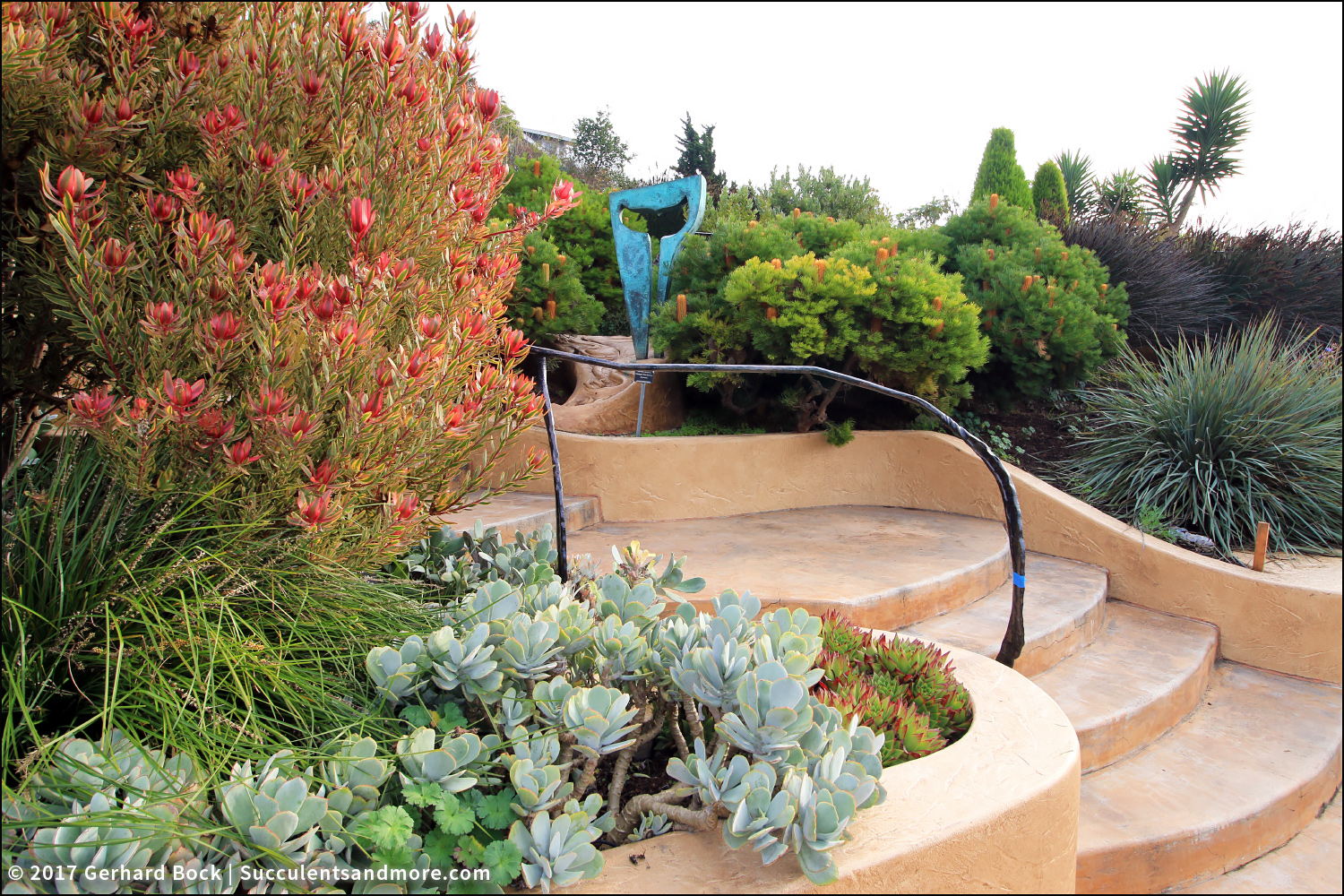 The Wave Garden in Point Richmond: one of my favorite spots in the Bay Area