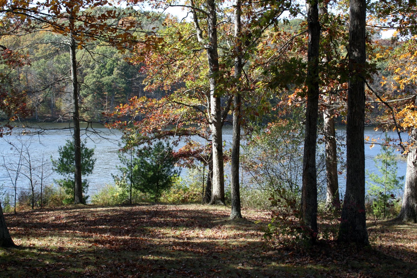 As Time Goes Bye: YELLOWWOOD STATE FOREST