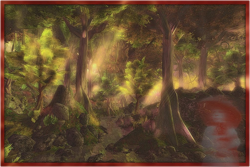 Enchanted: And the Winners Are....