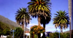 Temas Importantes: DISTRITO DE LIMATAMBO