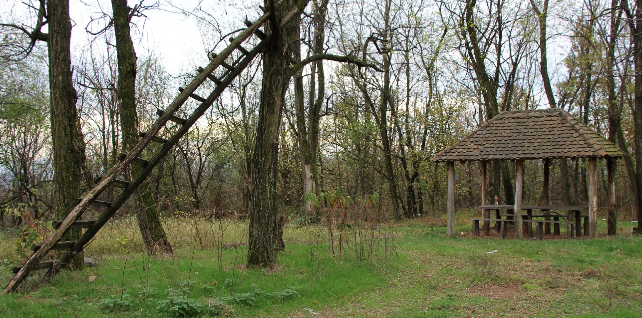 Putovanja, planinarenje i skijanje (Traveling, mountaineering and ...