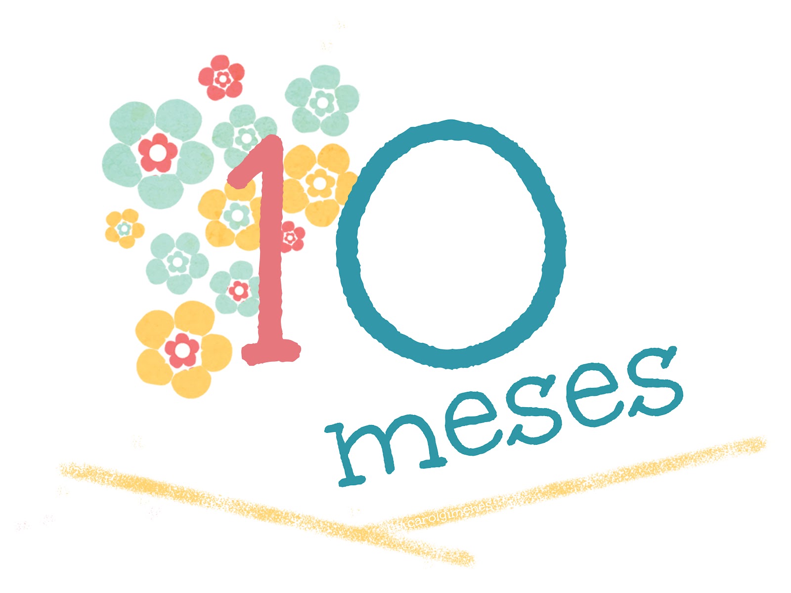 10 meses e um gato ~ Diário Imigrante