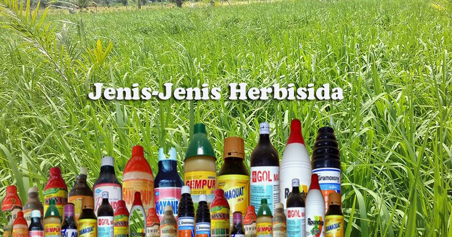 Pengertian Herbisida Dan Jenis-Jenisnya - saung petani