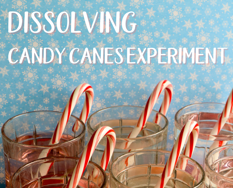 Dissolving Candy Canes Science Experiment - Messy Little Monster