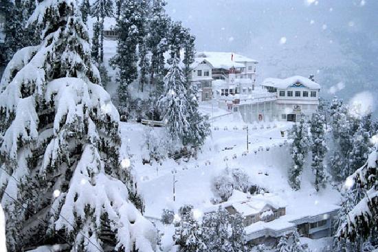Best 5 Places to Visit in Dharamshala 2020