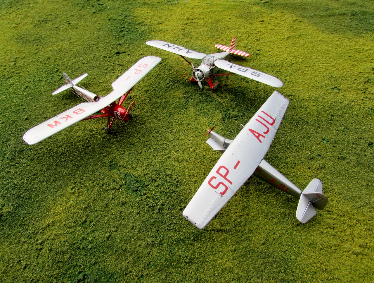 RWD-8 Parasol monoplane, PZW-72 kit, 1/72 - Ready for Inspection ...