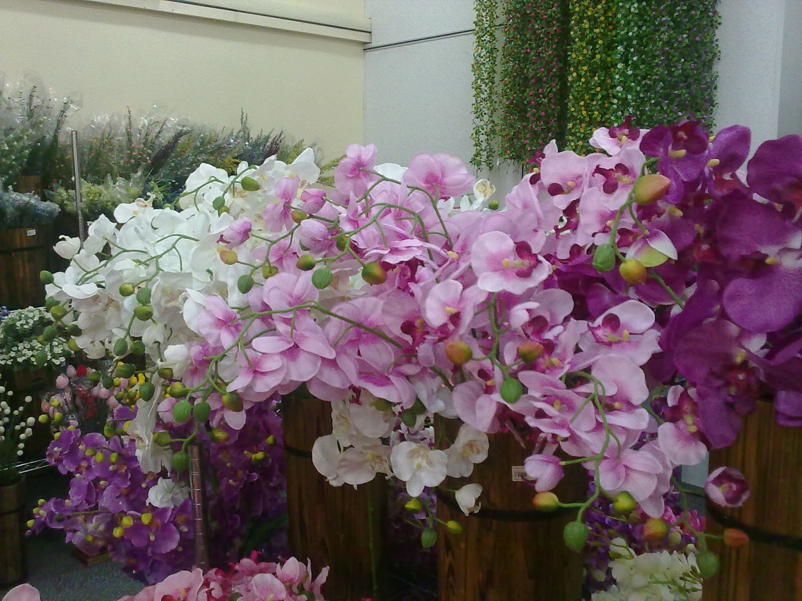 Nani Florist: HIMPUNAN BUNGA-BUNGA ORKID WARNA WARNI
