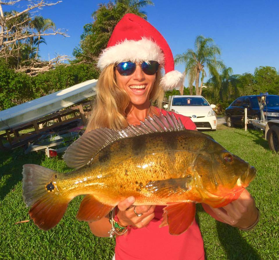 A View from the Beach: Fish Pic Friday