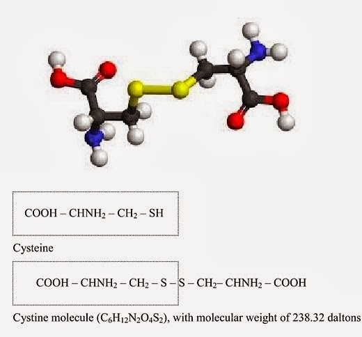 Cystinuria: What is Cystinuria?