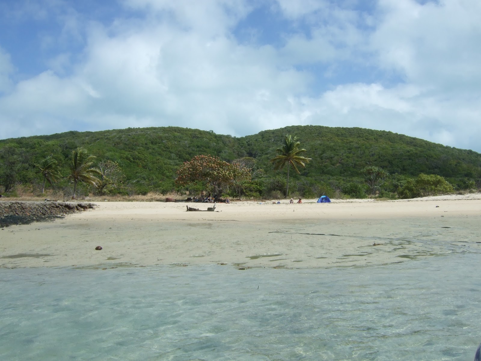 Teaching Torres Strait: Morning Tea on Goods Island