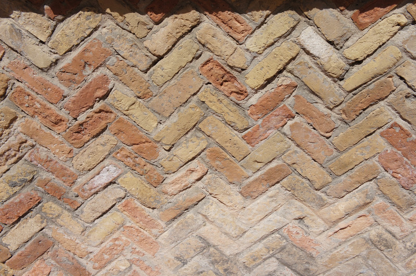 Bodes & Ollie: Hola Espana!