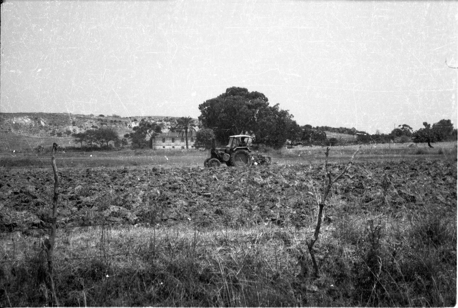 La Linea en Blanco y Negro: El Zabal