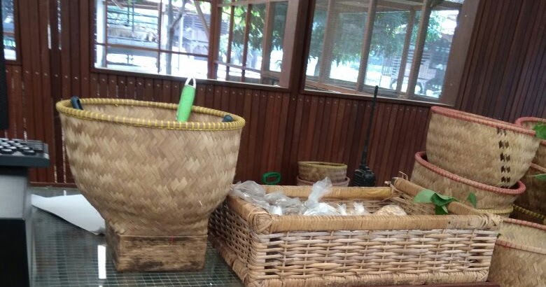 Kuntum Farm Field....