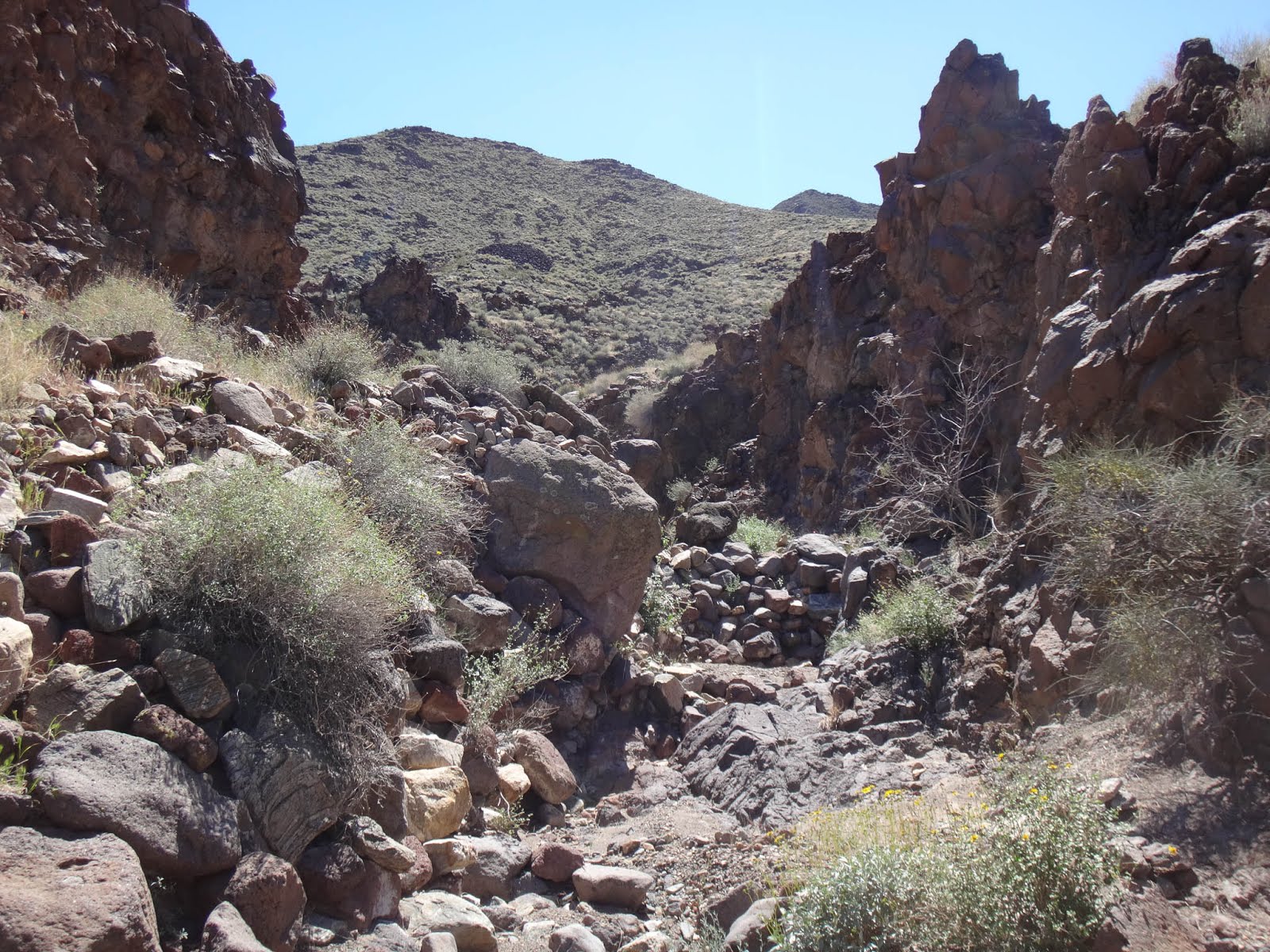 Clipper Mountain Near Essex - First Church of The Masochist