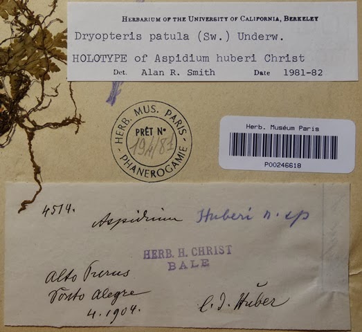 Jacques Huber and the Amazonian Botany: Plant collections