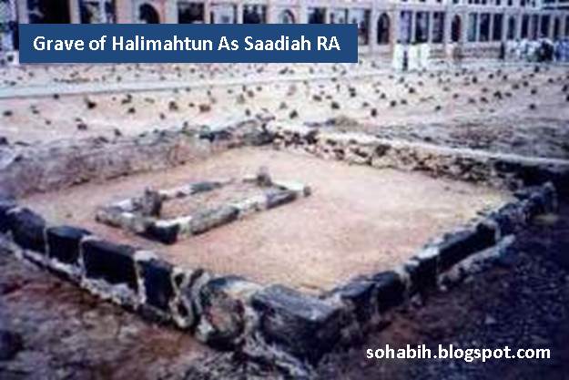 THE COMPANION: Saidatuna Halimahtun As -Saadiah RA