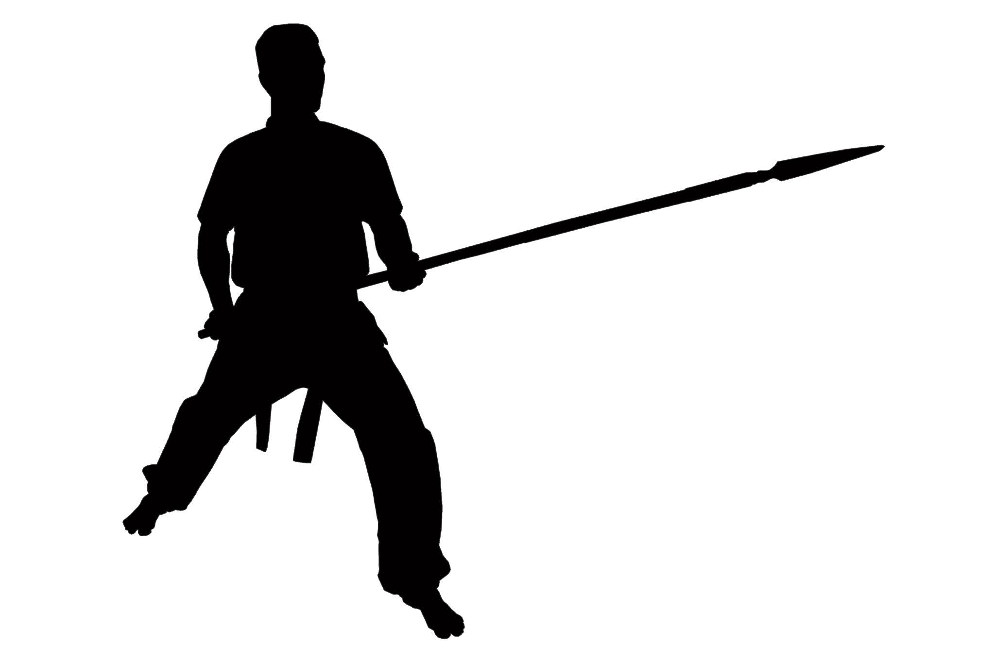 Panchabootha International Martial Arts Academy: Silambam Clipart , vector