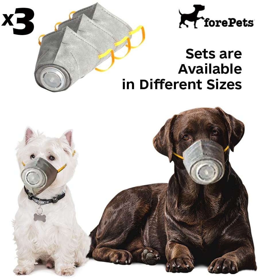 EMS SOLUTIONS INTERNATIONAL by @DrRamonReyesMD marca registrada: Manual ...