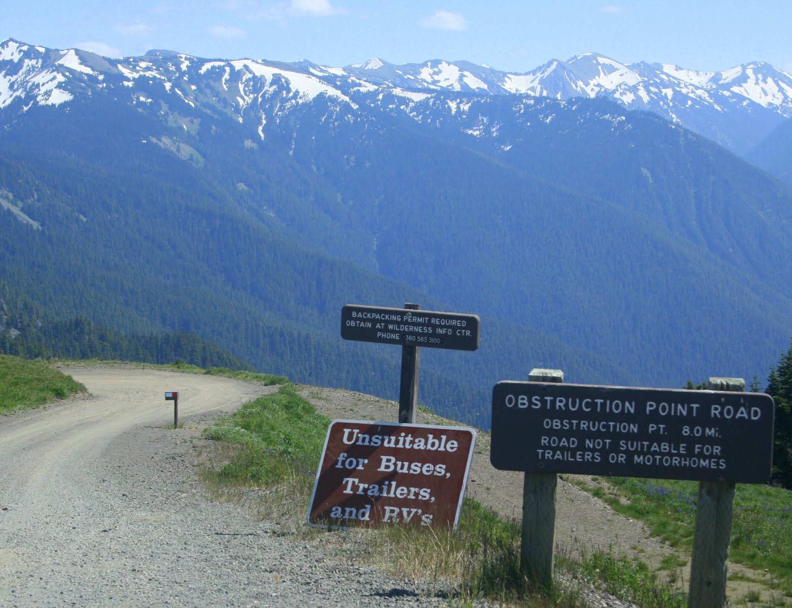 Stillhowlyntravels: Hurricane Ridge