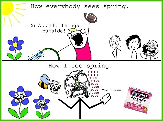 Seasonal Allergies Comic