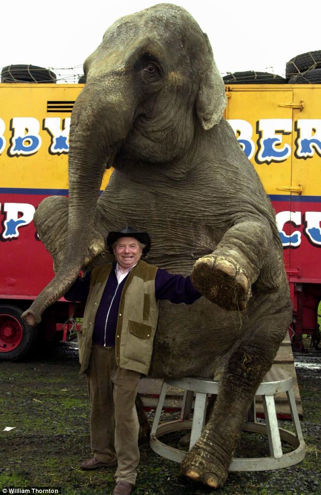 Circus Mania: Saving Anne the Elephant by Claire Ellicott - Book Review.