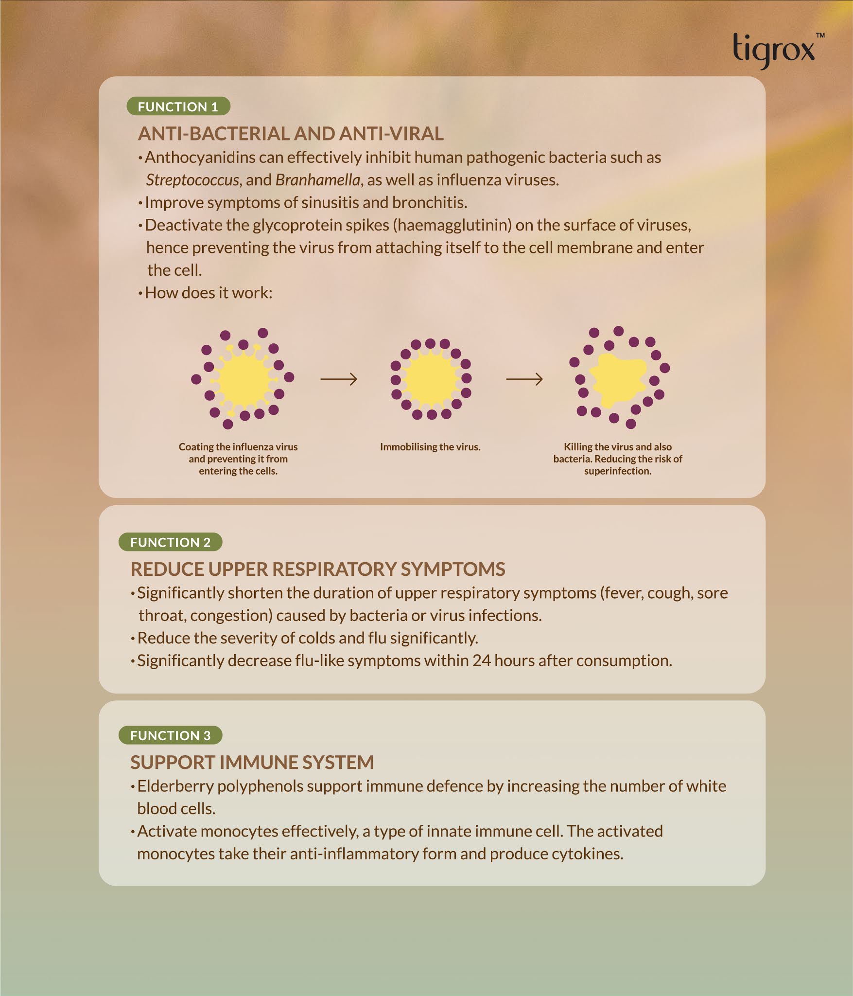 IMUGLO免疫王 - Improve & Strengthen Immune System Superfood | WELLOUS MAY ...