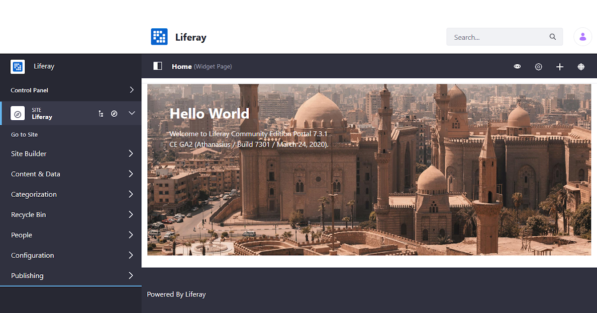 Liferay 7.3 : Liferay DXP Solutions