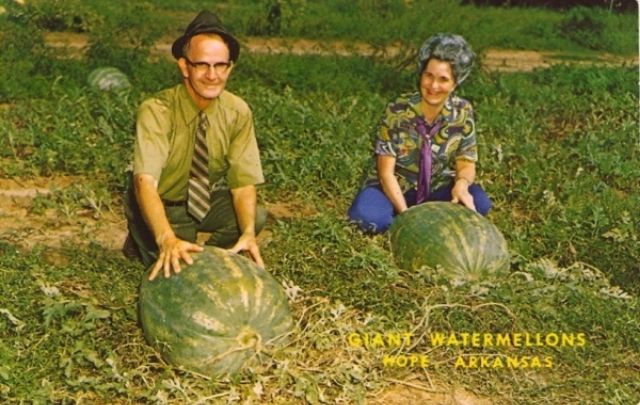 40 Hilariously Bad Vintage Postcards From Between the 1950s and 1970s ...