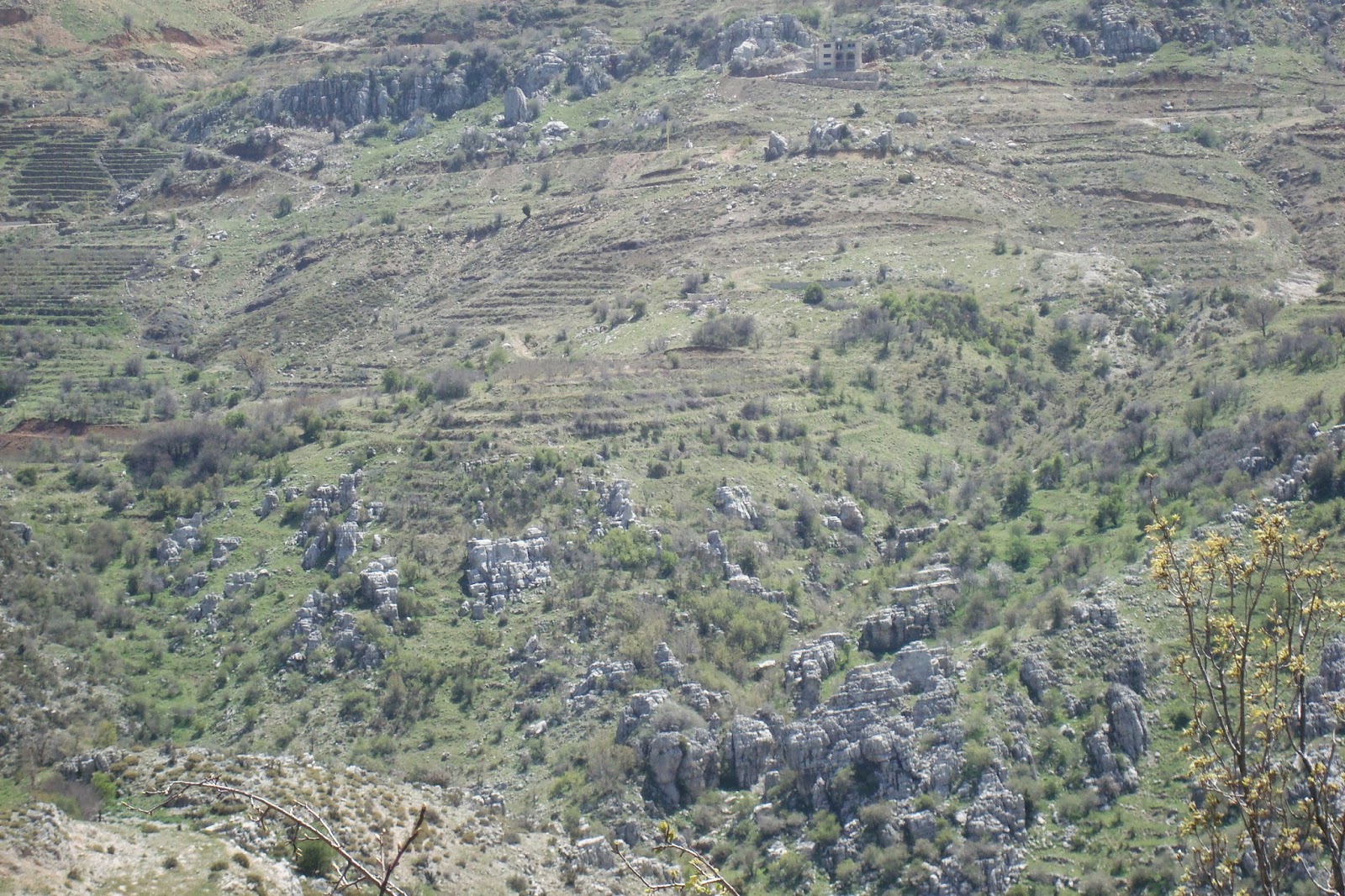prosegarden: The High Gardens of Lebanon: Jabal Moussa Biosphere Reserve