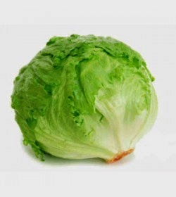 CARA MENANAM SALAD - Rangkuman Cara Bertanam Lengkap