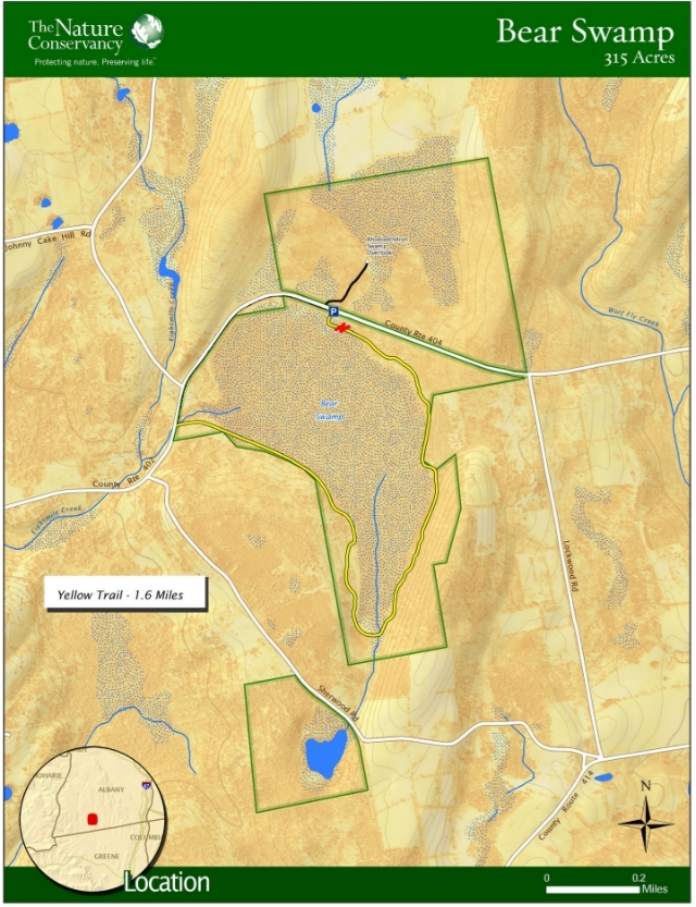 No Rocking Chair for Me: Bear Swamp Preserve - A short walk, and then ...